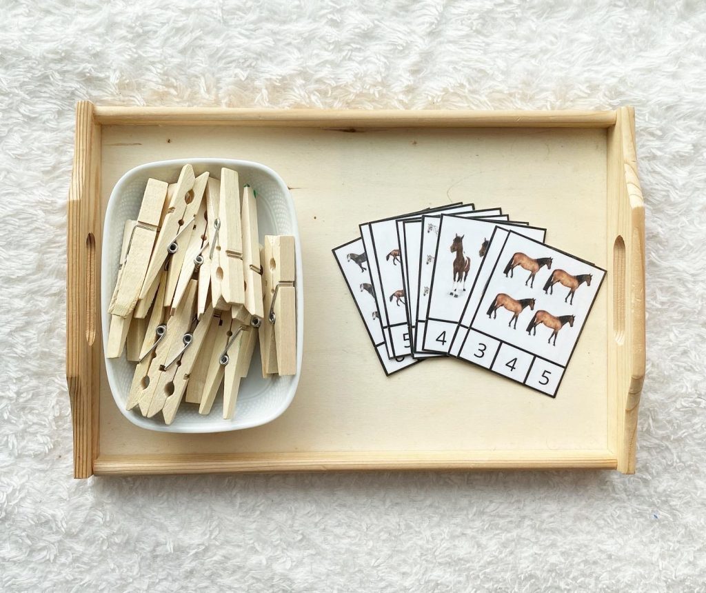 Cartes à pinces – Mes petits livrets