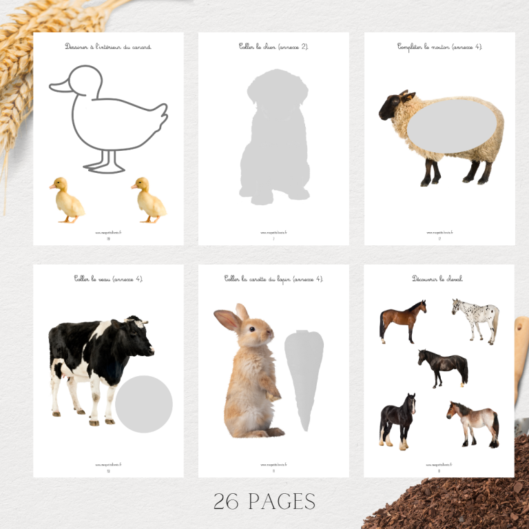 Mon livret d’activités: LA FERME ET SES ANIMAUX 12 mois – Mes petits ...